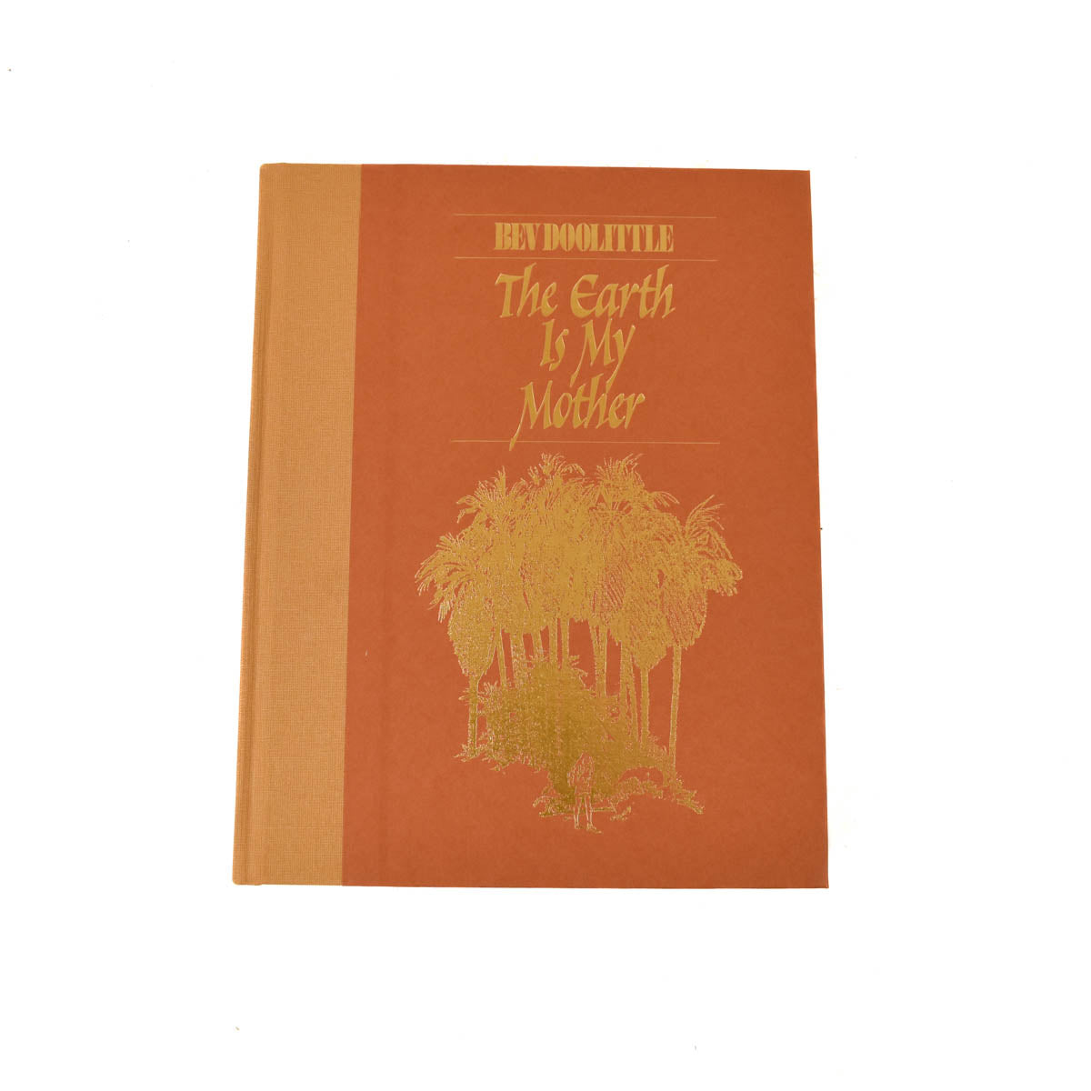 The Earth Is My Mother Book – Africa Direct