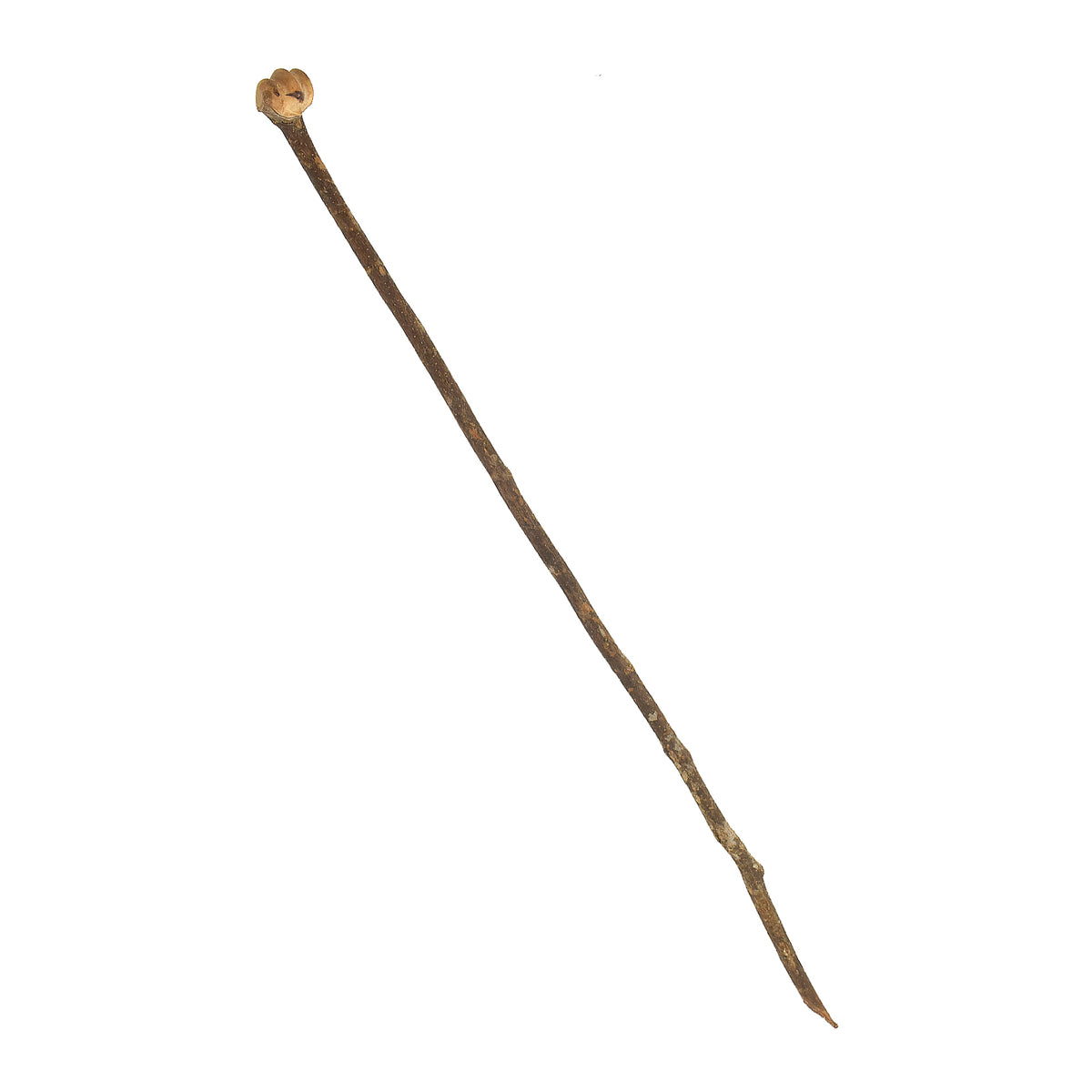 Zulu Knobkerrie Wood Stick Dori Collection – Africa Direct
