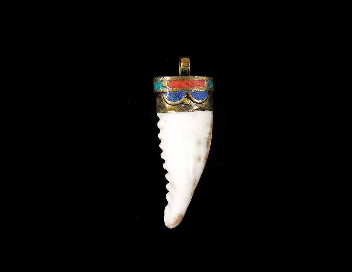 Tibetan Sacred Chank Shell Pendant Inlaid – Africa Direct